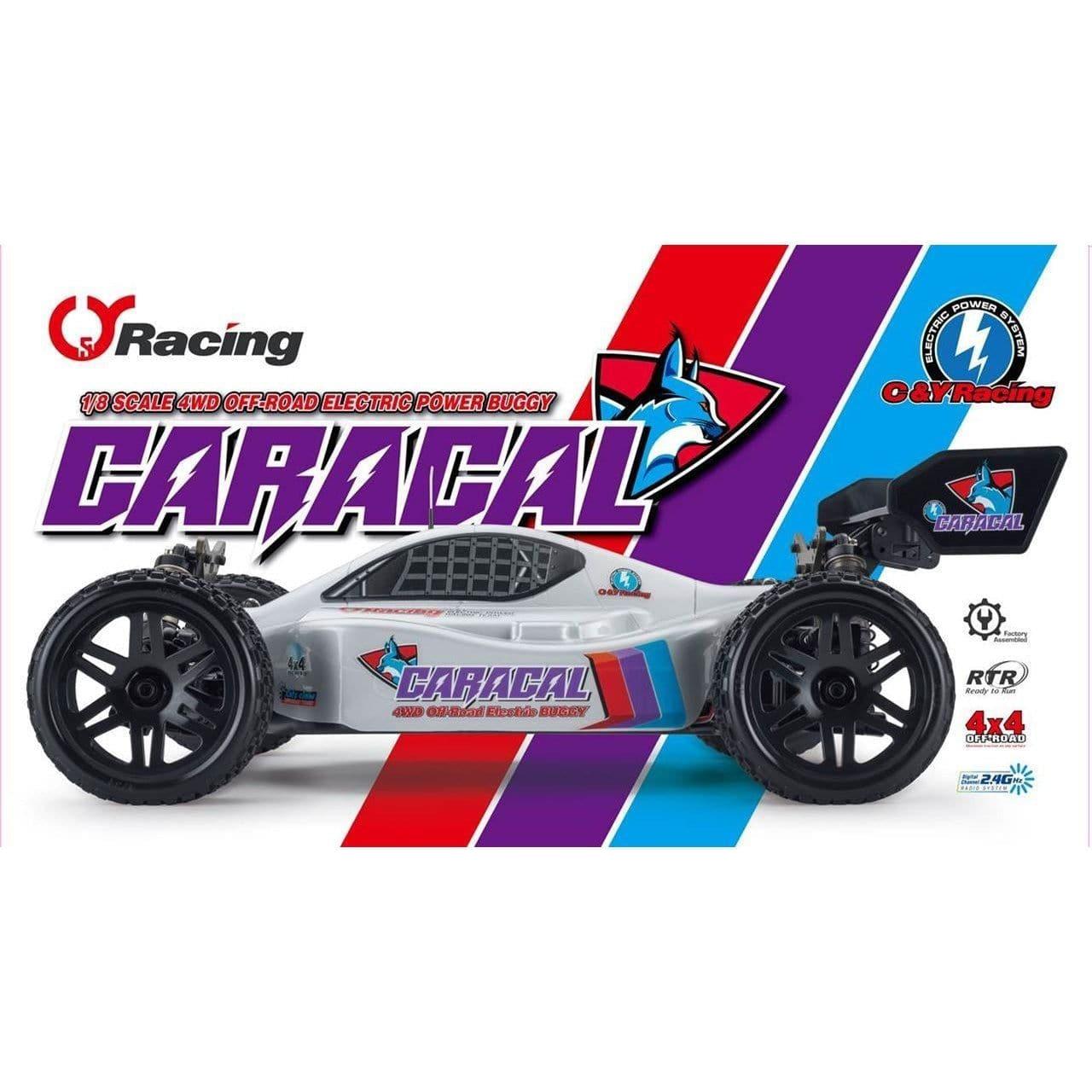 MING YANG Caracal 1 8 4WD Off Road Electric Buggy RTR